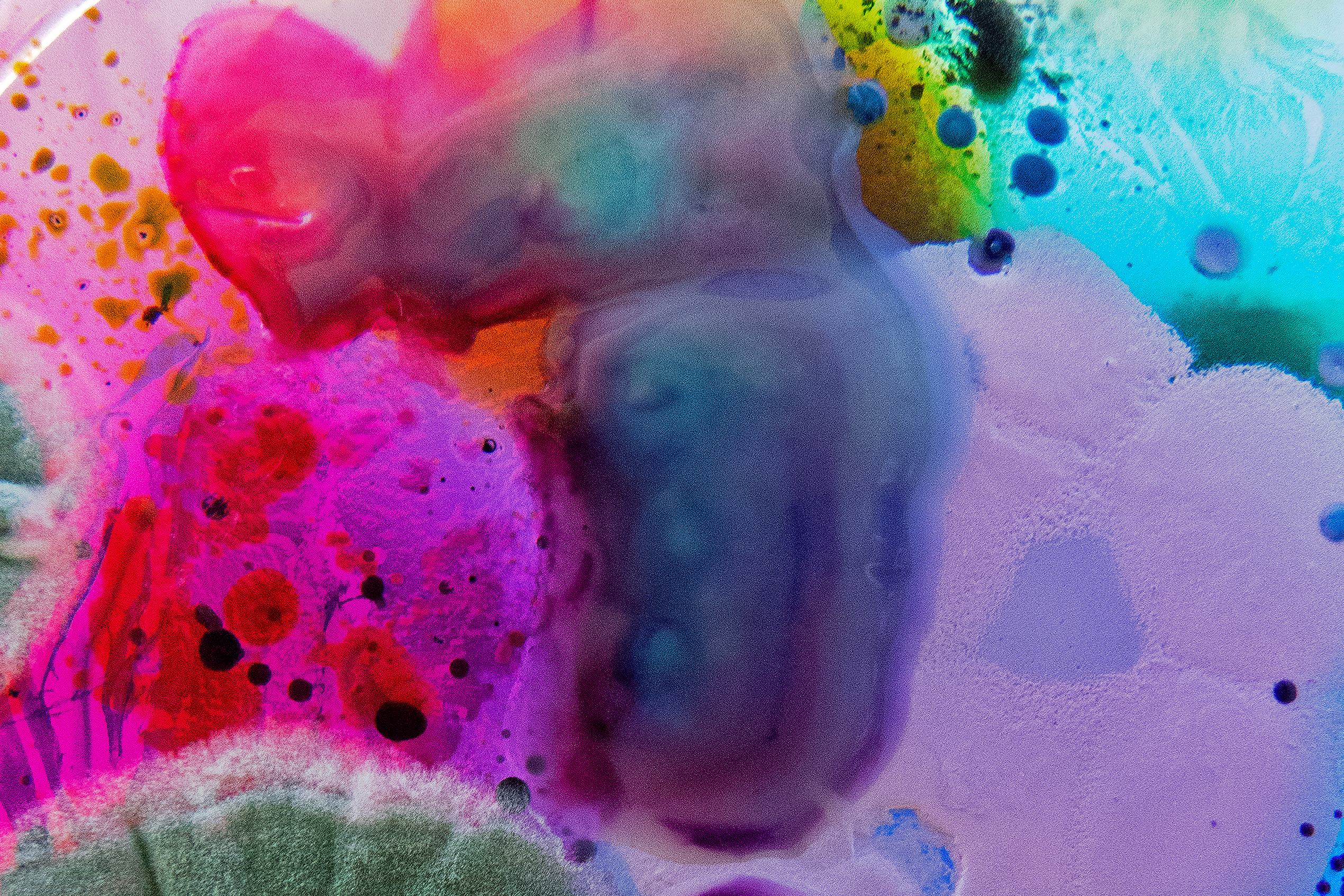 Mold School | Varyer