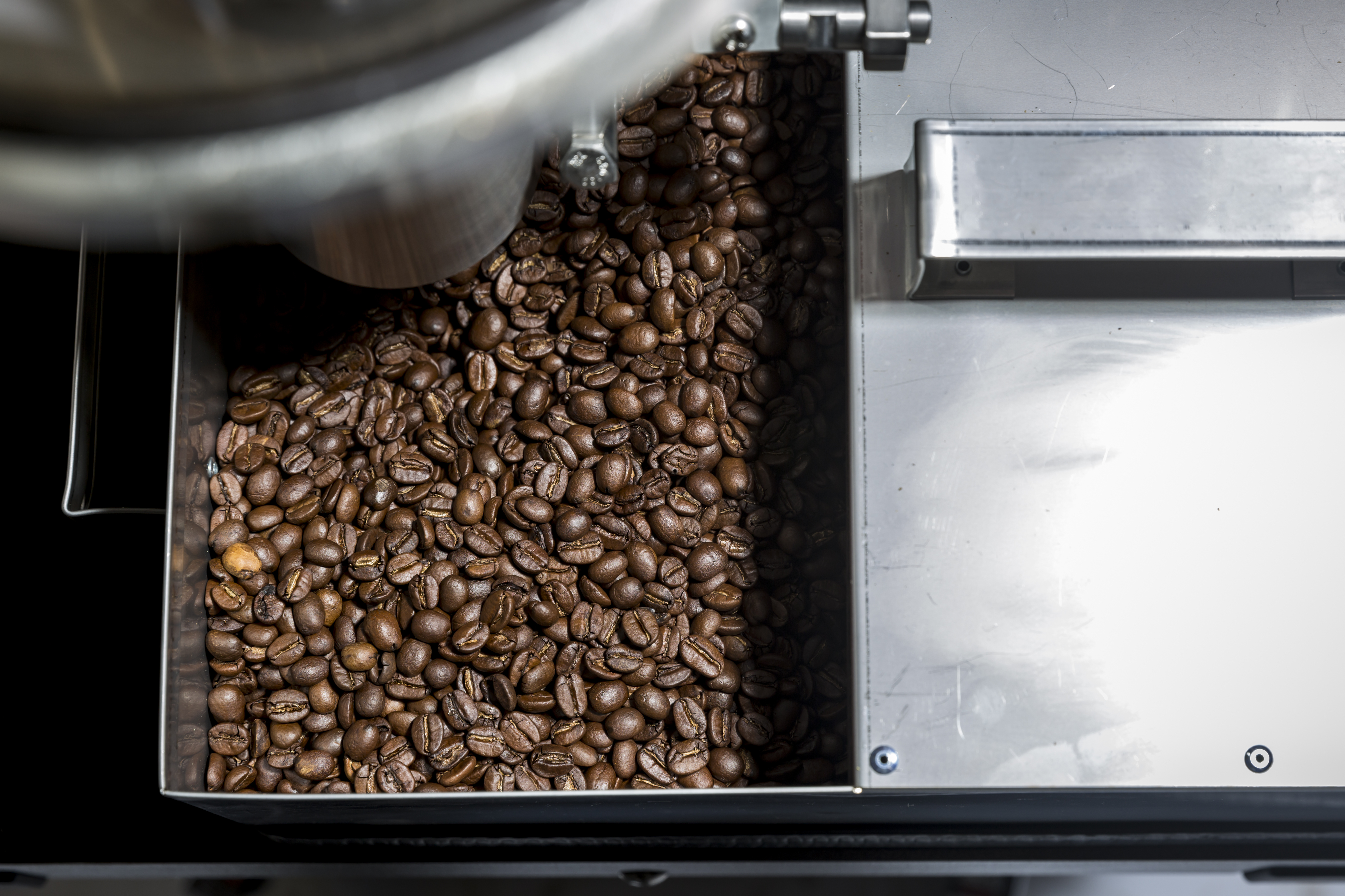 Kribi Coffee Identity | Varyer